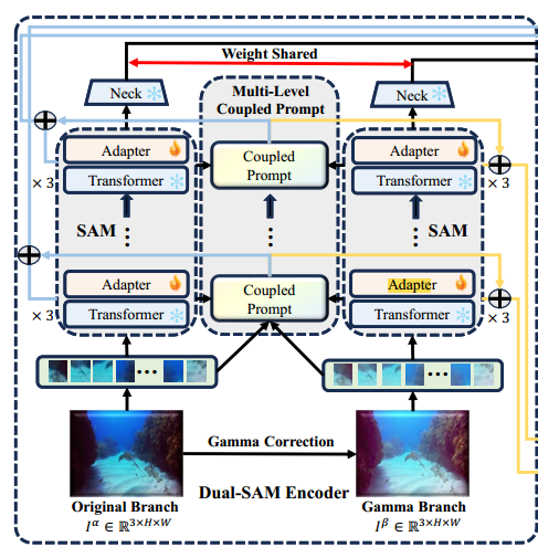 2411论文研读-Fantastic Animals and Where to Find Them:Segment Any Marine ...